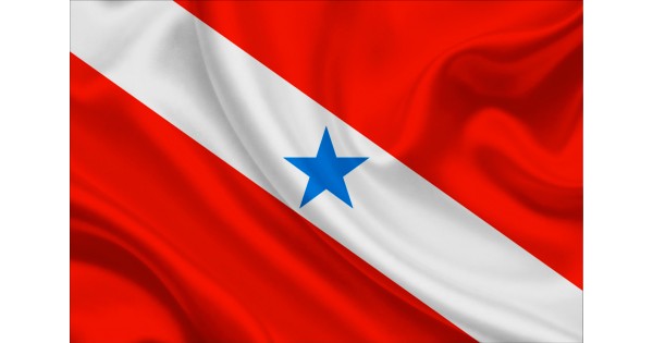 Bandeira oficial do estado do Pará - Ecco Bandeiras