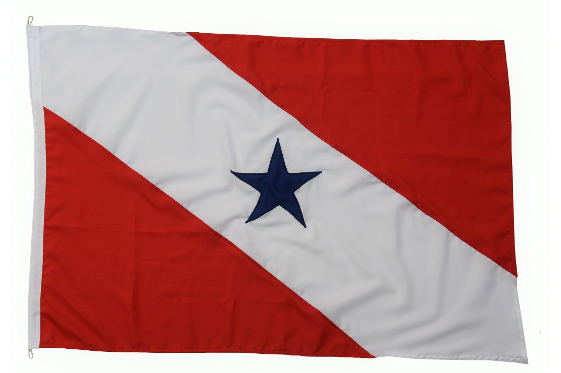Bandeira oficial do estado do Pará - Ecco Bandeiras