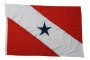 Bandeira oficial do estado do Pará - Ecco Bandeiras
